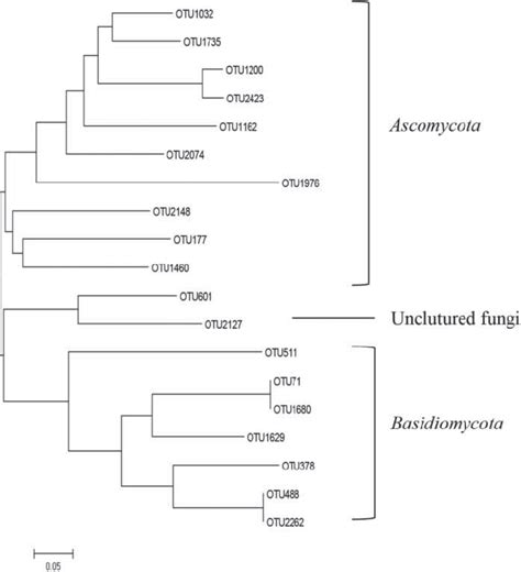 Phylogenetic tree of core fungal communities in soil, leaves, and ...