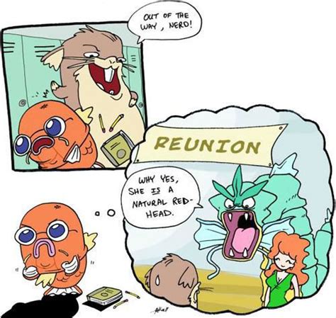 Best Images About Magikarp Love On Pinterest Bel Air Pokemon Memes And Play Pokemon