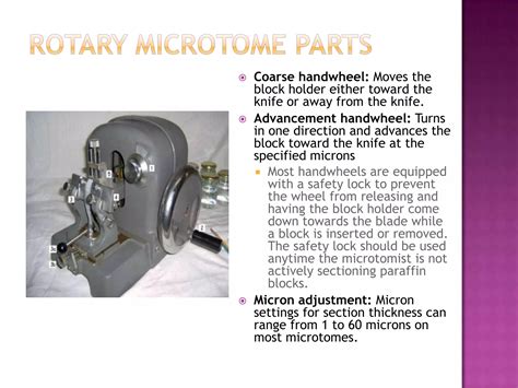 Microtome Pptx Physics Science