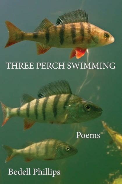 Three Perch Swimming By Bedell Phillips Paperback Barnes And Noble®