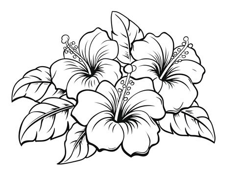 Pin By Biene On Sommer Hibiscus Flower Drawing Hawaiian Flower