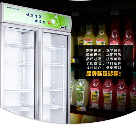 穗凌SUILINGLG4 638M2WX 无霜风冷立式冷柜超市饮料展示柜双门冰柜冷藏柜 立式展示柜 穗凌冷柜官方旗舰店 官网