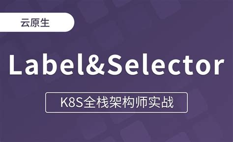 【第八章】labelandselector K8s全栈架构师实战 编程开发教程 虎课网