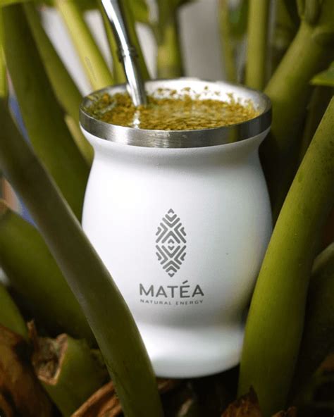 Trà Yerba Mate Là Gì Matéa Coffee And Yerba Maté