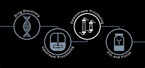 What Is Downstream Bioprocessing Hpne