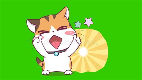 Animated Kitten Giving Thumbs Up Green Screen Stock Footage Video Of
