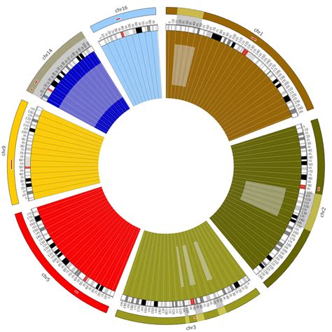 Large CIRCOS Circular Genome Data Visualization