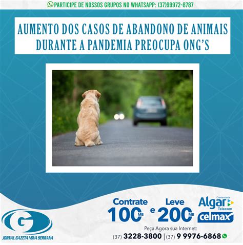 AUMENTO DOS CASOS DE ABANDONO DE ANIMAIS DURANTE A PANDEMIA PREOCUPA