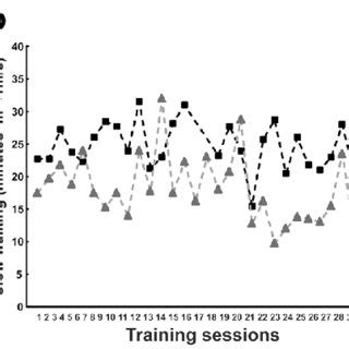 Individual Data Of Training Activity Typical Patterns Of A Training Download Scientific