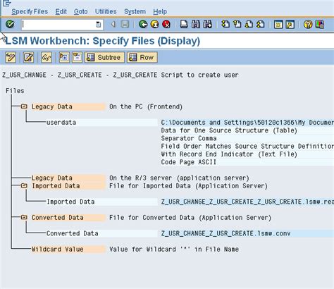LSMW Mass User Creation Sap Security Pages