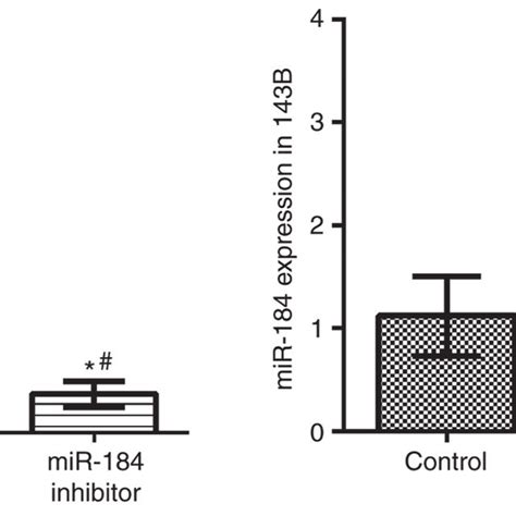 Reverse Transcription Quantitative Polymerase Chain Reaction Analysis