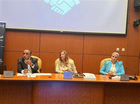 heba adel soliman on linkedin depi mcit digitalegyptpioneers