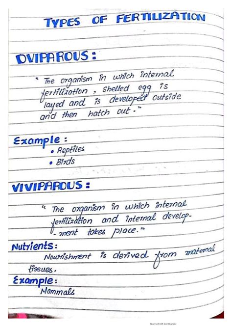 Solution Reproductive System Studypool