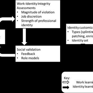Conditional Matrix Used In The Study Download Scientific Diagram