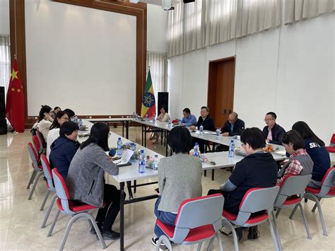 驻埃塞俄比亚使馆举办“我为和谐使馆作贡献”妇女同志座谈会