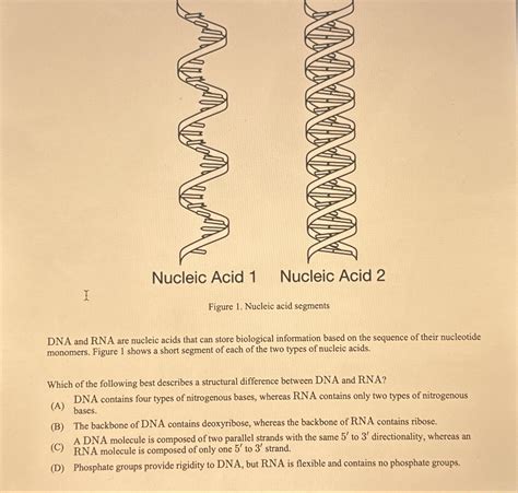 Solved Nucleic Acid 1Nucleic Acid 2yFigure 1. ﻿Nucleic acid | Chegg.com