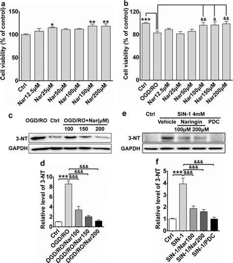 Naringin Increases Cell Viability And Inhibits 3 Nitrotyrosine 3 Nt