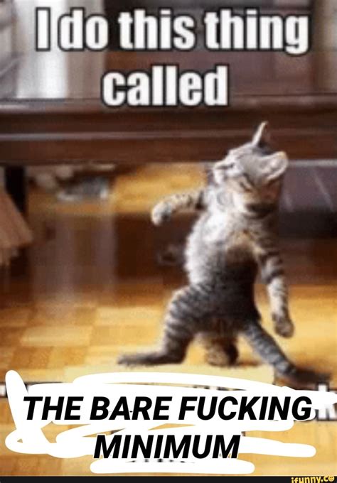 Ido This Thing Called The Bare Fucking Minimum Ifunny