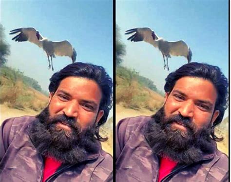 Big News इंसान और सारस की ऐसी दोस्ती देखी नहीं होगी सुकून देगा ये