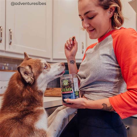 Hemp Hip And Joint For Dogs Only Natural Pet