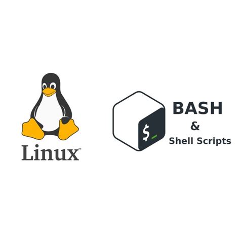 Hadeer Hesham Fahmy On Linkedin Linux Bashscripting Devopsjourney
