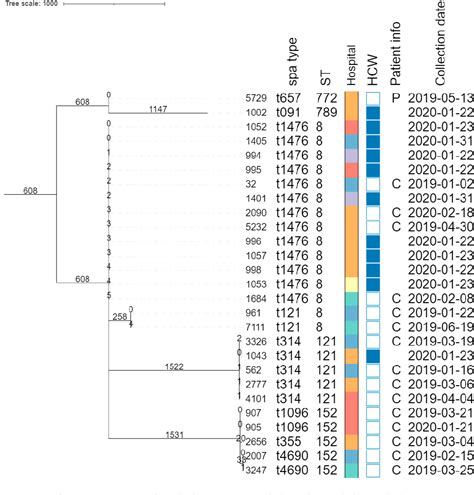 Figure 2 From Whole Genome Sequencing Based Screening Of Mrsa In Patients And Healthcare Workers