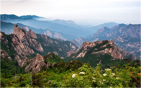 설악산 팝코넷 포토 갤러리