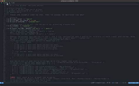 Neovide Neovim Bin Lvim Renders Font Different From Nvim Binary · Issue 1945 · Neovide