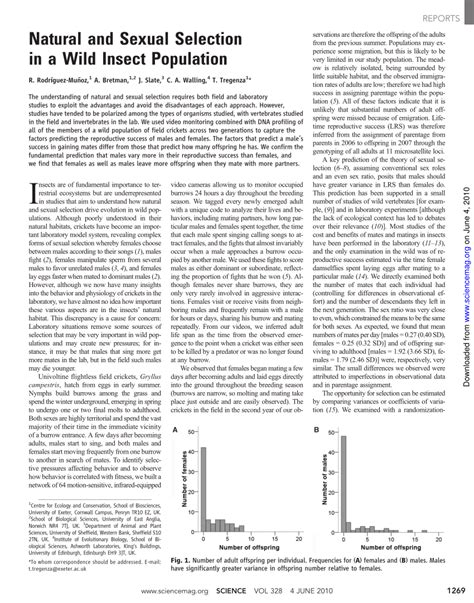 PDF Natural And Sexual Selection In A Wild Insect Population
