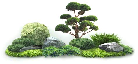 Готовые ландшафтные композиции Обустройства сада Ландшафтный дизайн заднего двора Озеленение