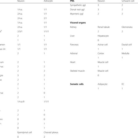 Distribution And Density Of P62 Positive Intranuclear Inclusions In The