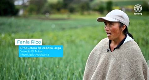 Fao Colombia On Twitter Rt Anoticiass Fao Colombia Invita A Conocer C Mo Familias De