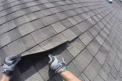 Are Shingles Lifting On Your Roof Explore The Causes And Solutions