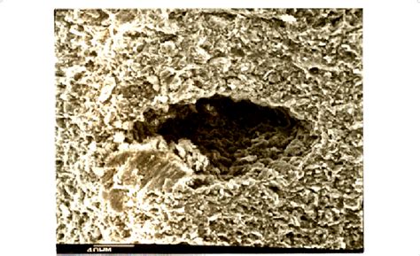 SEM Of Clay Soil At Location C Download Scientific Diagram