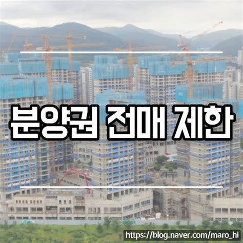 분양권 전매 제한 및 매매 절차 중개 보수 수수료 알아보기 네이버 블로그