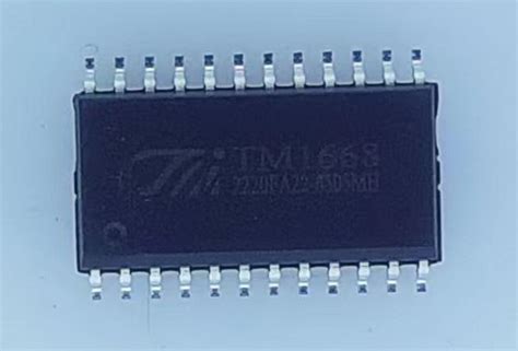 Tm1668