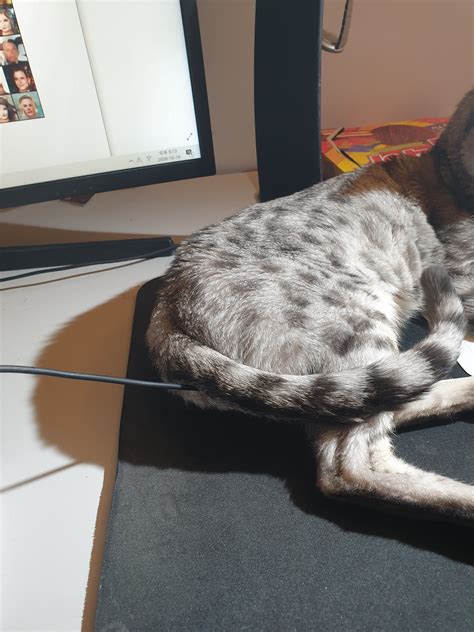 Naver Cloud Ai 네이버 클로바 와 Ailab 의 연구자들의 논문 무려 7개가 세계최고 Nlp 학회 중 하나인 Emnlp2021