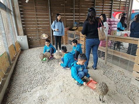 彰化縣北斗鎮正實親子農場 彰化親子景點．100元門票免費提供飼料．餵食可愛動物趣味體驗．氣墊滑梯和多元親子設施超好旅遊