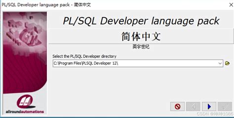 Plsql安装汉化教程plsql汉化包 Csdn博客