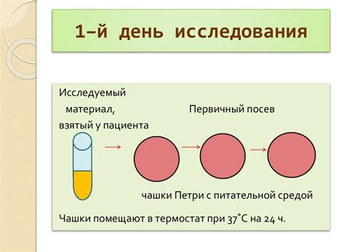 Физиология микроорганизмов презентация онлайн