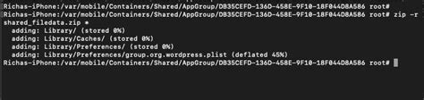 Analyze The Local Data Storage Of Ipa From Device Certcube