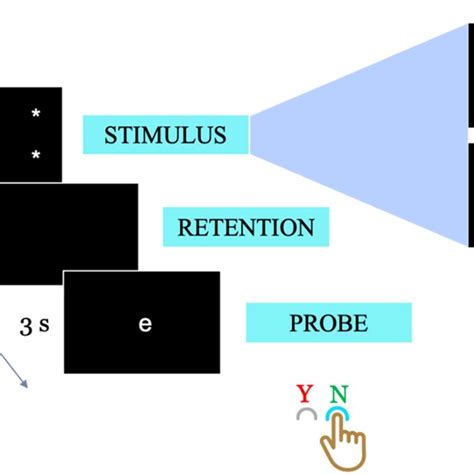 Schematic Of Ls Task Presentation In The Stimulus Presentation Phase Download Scientific