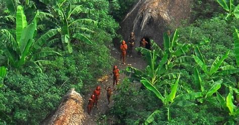 Illegal Miners In Brazil Boast Of Killing Members Of ‘uncontacted