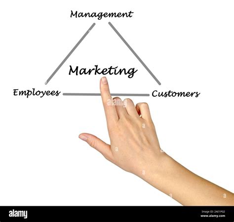 Diagram Of Marketing Stock Photo Alamy