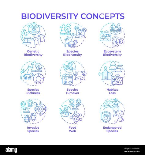 Biodiversity blue gradient concept icons Stock Vector Image & Art - Alamy