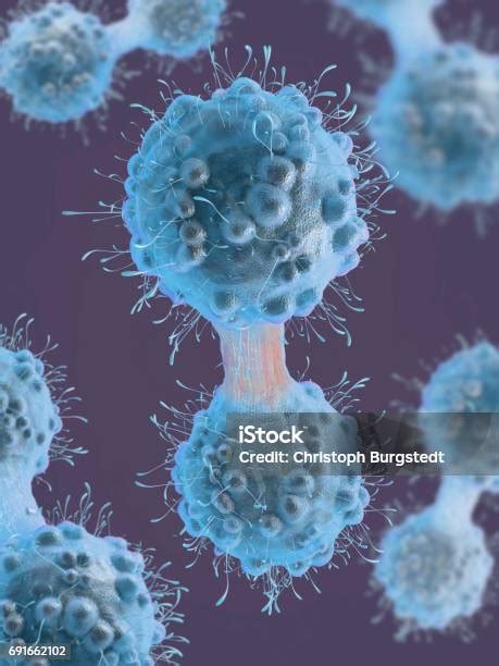 Ilustrasi 3d Sel Kanker Dalam Proses Mitosis Foto Stok Unduh Gambar