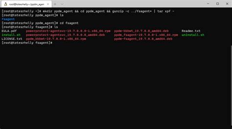 Ppdm Filesystem Agent Installation And Recovery