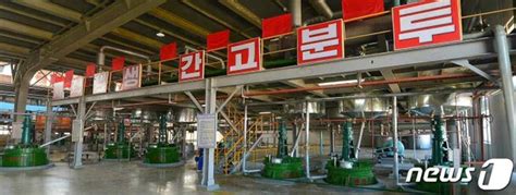 먹거리 부족 북한 온실채소 위한 비료 공장 준공 네이트 뉴스