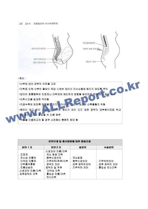 여성간호학 주제학습 통증이론 And 분만통증완화법 의약보건레포트