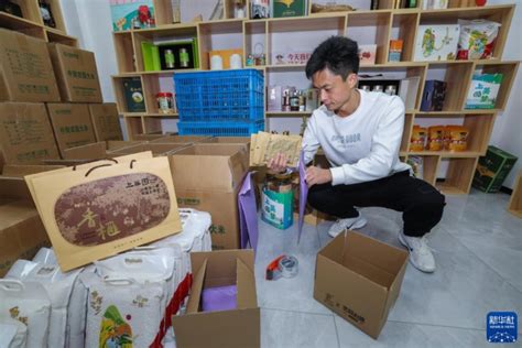 浙江诸暨特色香榧产业助力百姓共富 精彩图片 东南网